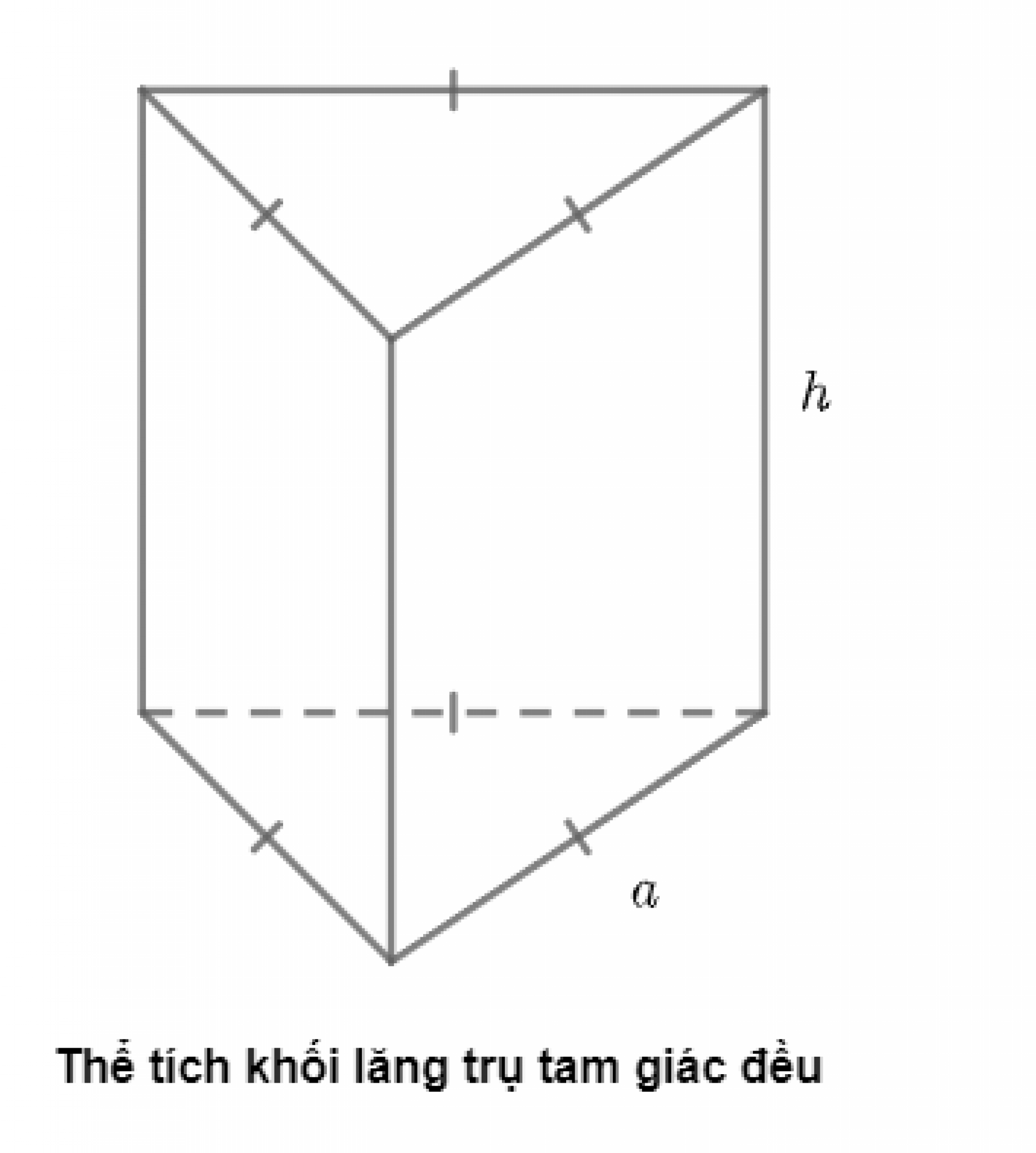 Thể Tích Lăng Trụ đứng Tam Giác đều Tứ Giác đều Lục Giác đều Hình Thoi 