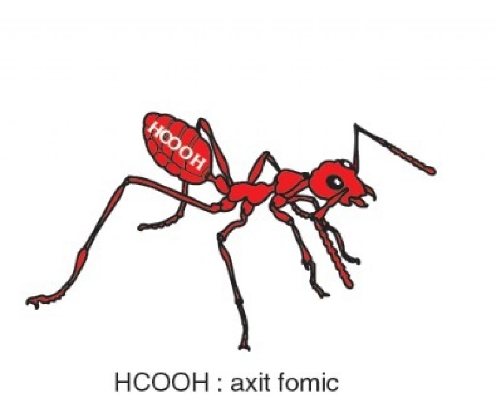 Andehit Fomic là gì ? Có công thức là gì ? Tính chất và thông tin khác