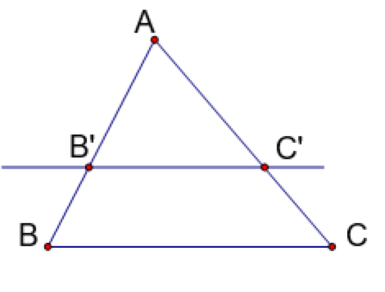 Định lý Talet và Talet đảo trong Tam Giác, Tam Giác Vuông Toán Lớp 8
