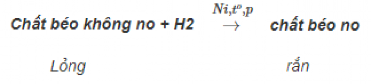 Triglixerit là gì ? Triglixerit có công thức là gì ? Thành phần gì