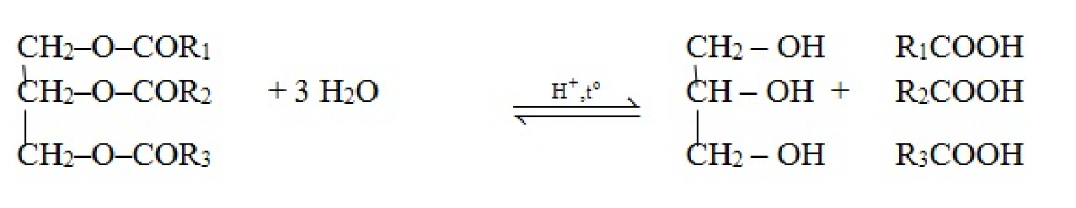 Triglixerit là gì ? Triglixerit có công thức là gì ? Thành phần gì