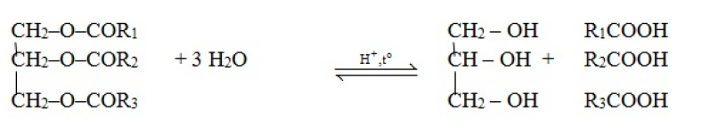 Triglixerit là gì ? Triglixerit có công thức là gì ? Thành phần gì