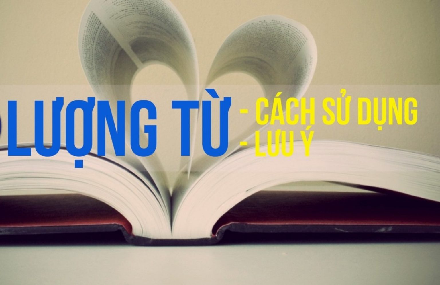 Lượng từ trong tiếng việt là gì ? Phân loại và cách nhận biết lượng từ ...