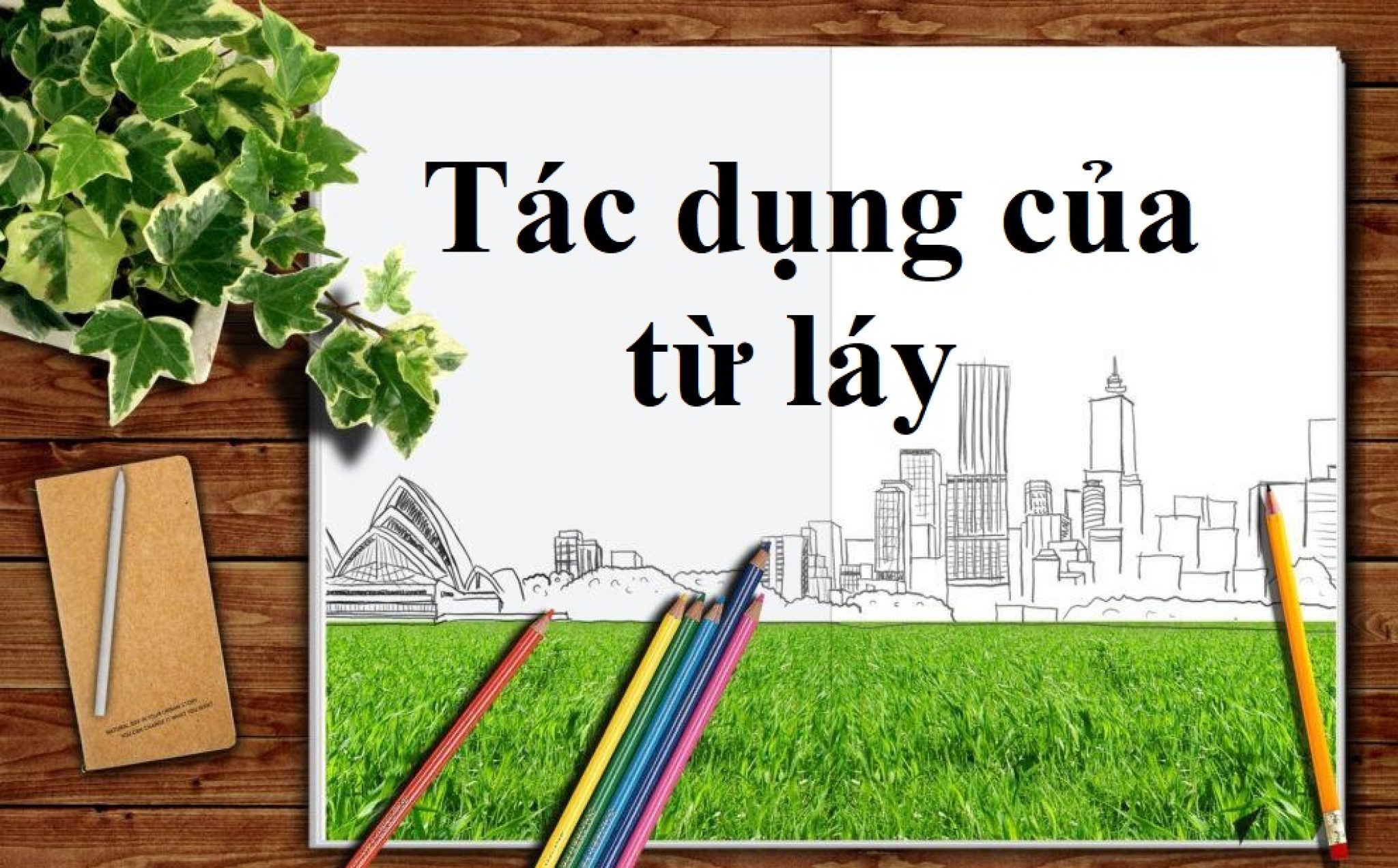 Thế nào là từ láy ? Có mấy loại từ láy ? Tác dụng của từ láy ? Ví dụ ...