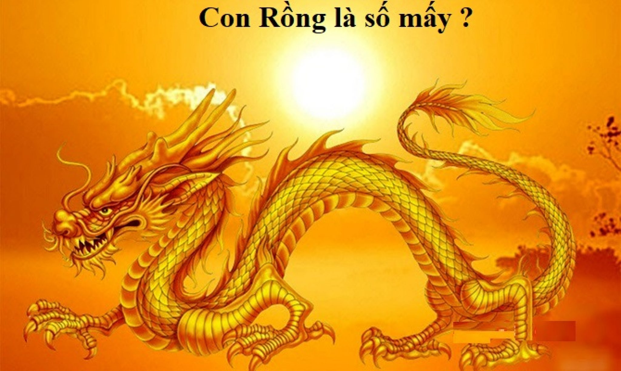 Con Rồng là số mấy ? Nằm mơ thấy Rồng đánh con gì ? Là điềm Lành hay Dữ